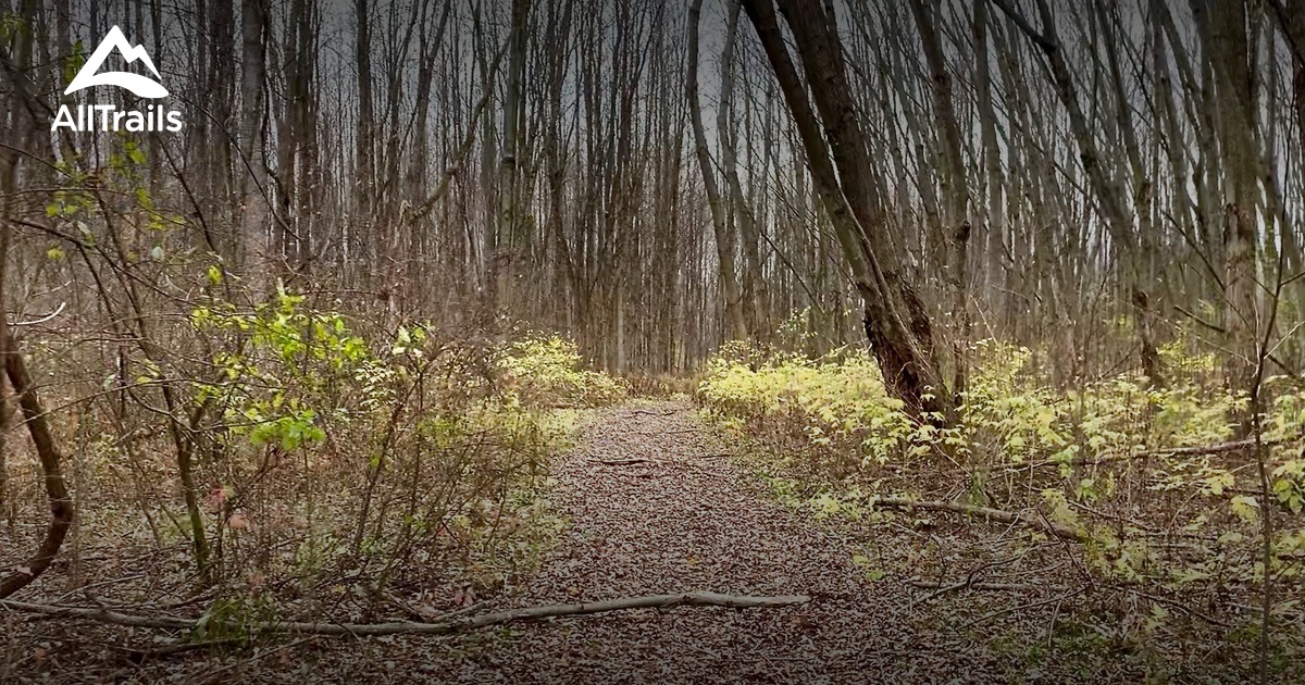 Best hikes and trails in South Dundas | AllTrails