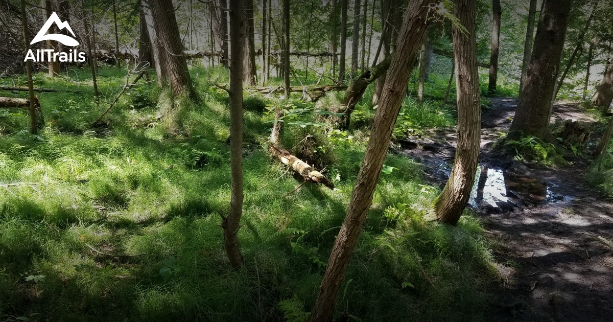 10 Best trails and hikes in Springwater | AllTrails