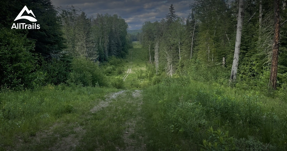 Best forest trails in Stepstone | AllTrails