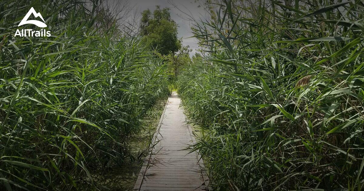 Best hikes and trails in Stoney Point | AllTrails