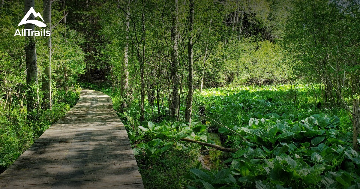 Best hikes and trails in Stratford | AllTrails