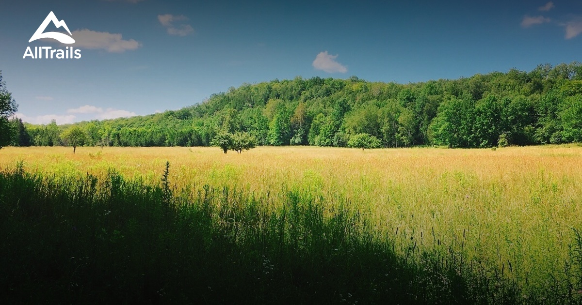 Best Trails near The Blue Mountains, Ontario Canada | AllTrails