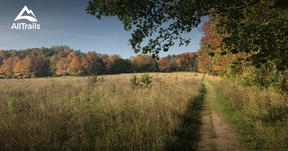 Best Trails near The Blue Mountains, Ontario Canada | AllTrails