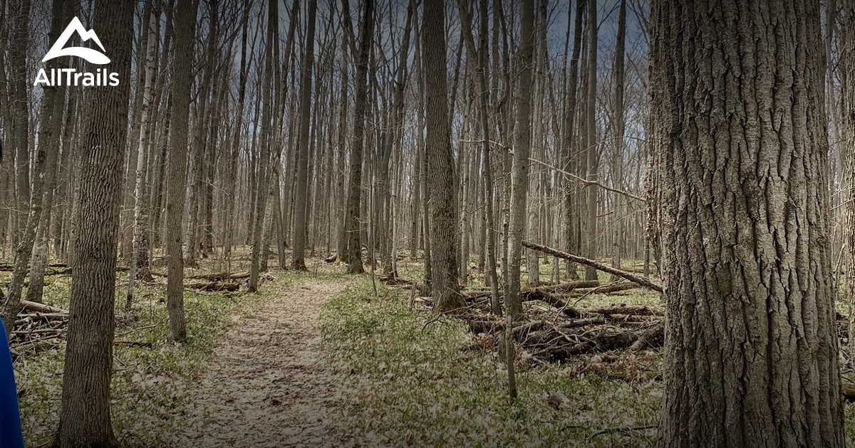 10 Best trails and hikes in Tiny | AllTrails