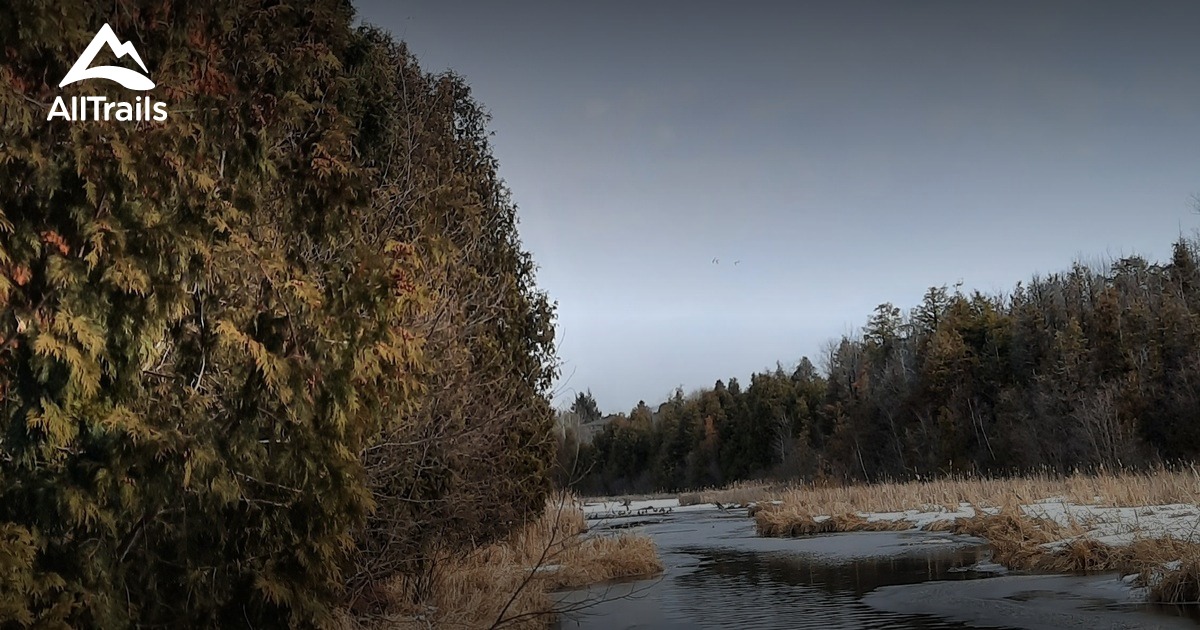 Best hikes and trails in Tottenham | AllTrails