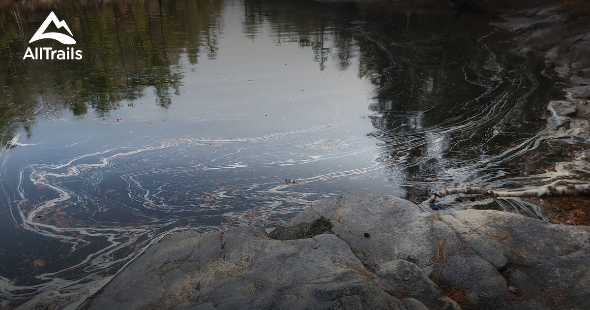 Best hikes and trails in Wahta Mohawk Territory | AllTrails