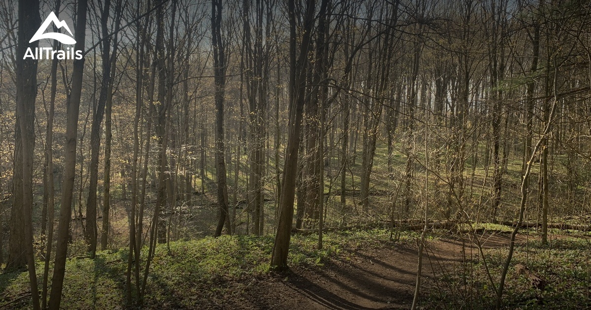 10 Best trails and hikes in Waterloo | AllTrails