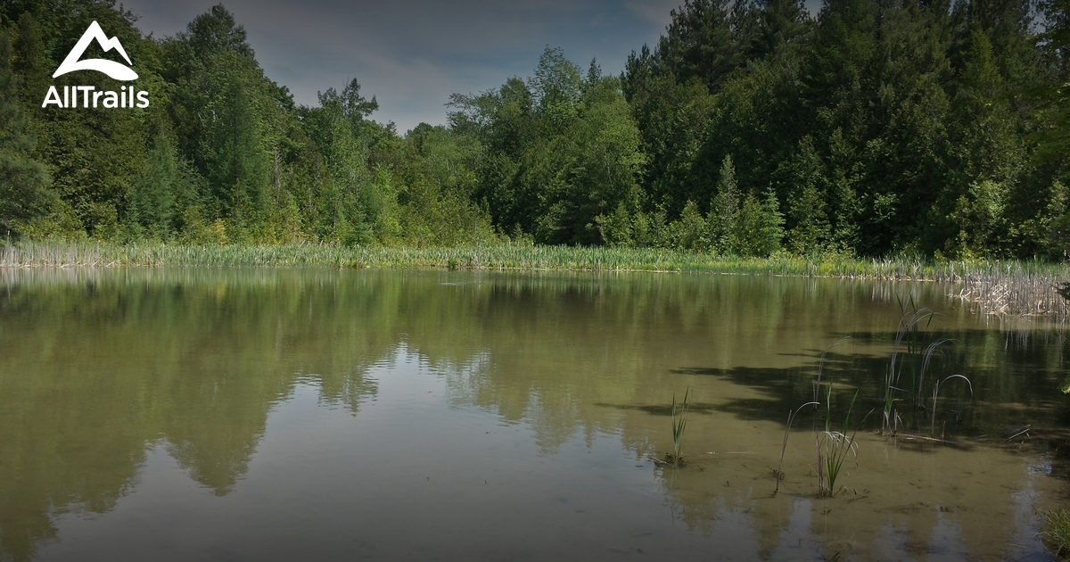 Best forest trails in West Grey | AllTrails