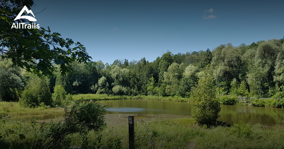 10 Best trails and hikes in Whitby | AllTrails