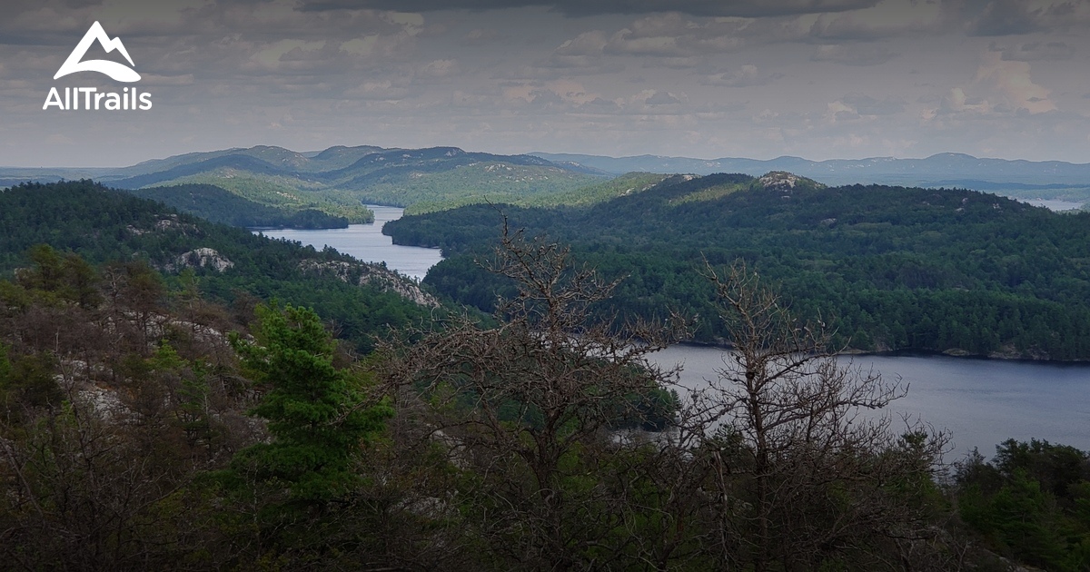 Best hikes and trails in Whitefish River 4 | AllTrails