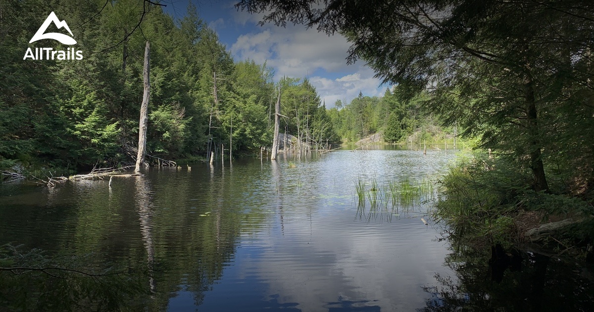 Best hikes and trails in Whitestone | AllTrails