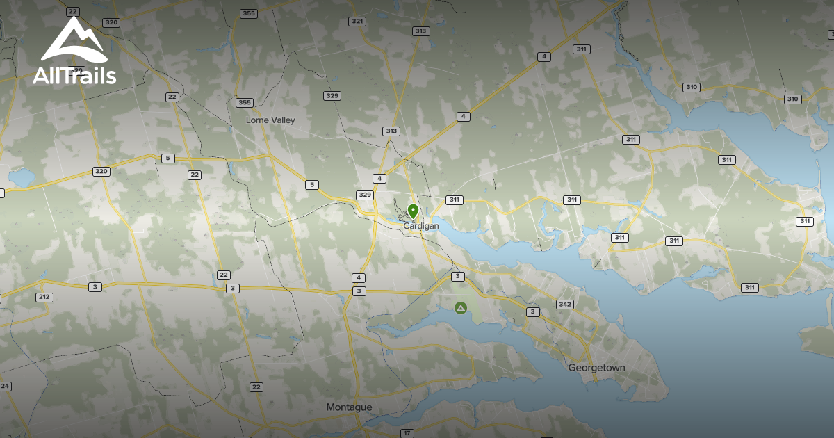 Best river trails in Cardigan | AllTrails