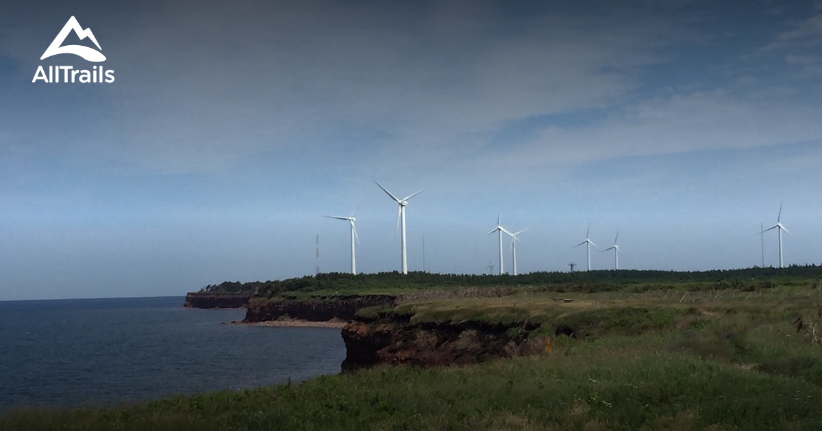 Best hikes and trails in Seacow Pond | AllTrails