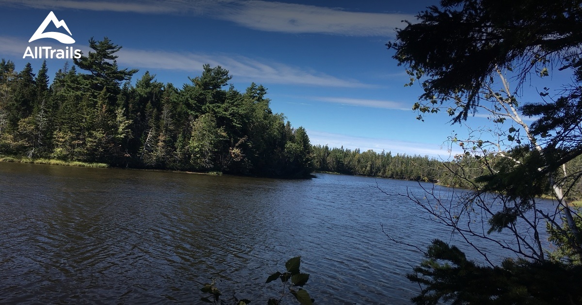 Best hikes and trails in Suffolk | AllTrails