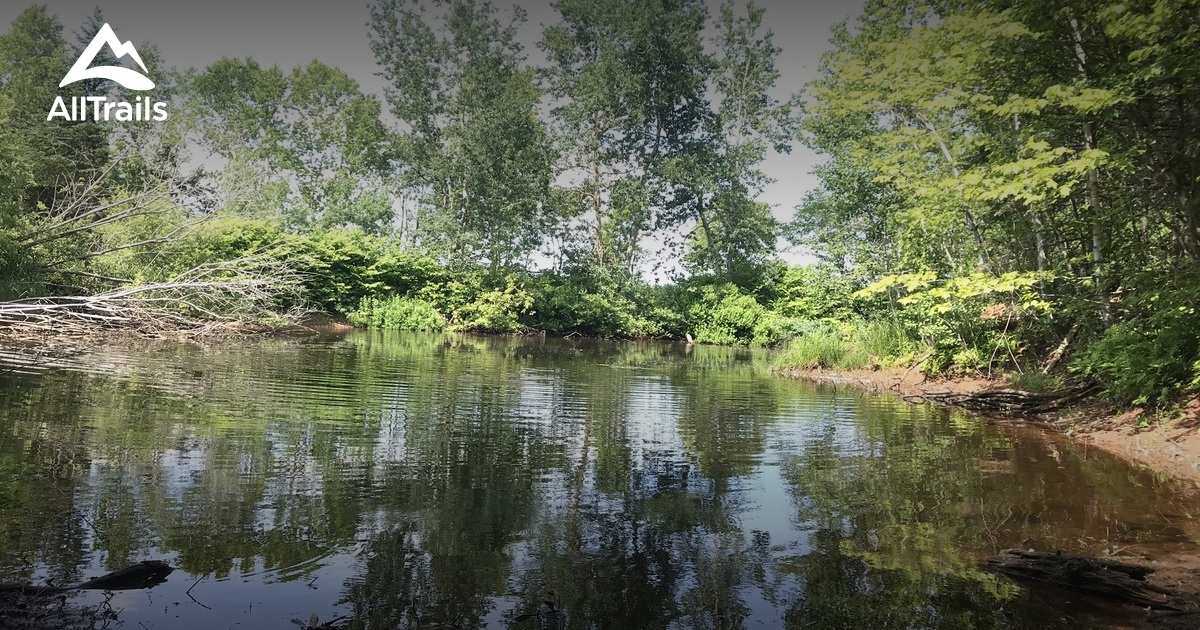 Best hikes and trails in Summerside | AllTrails