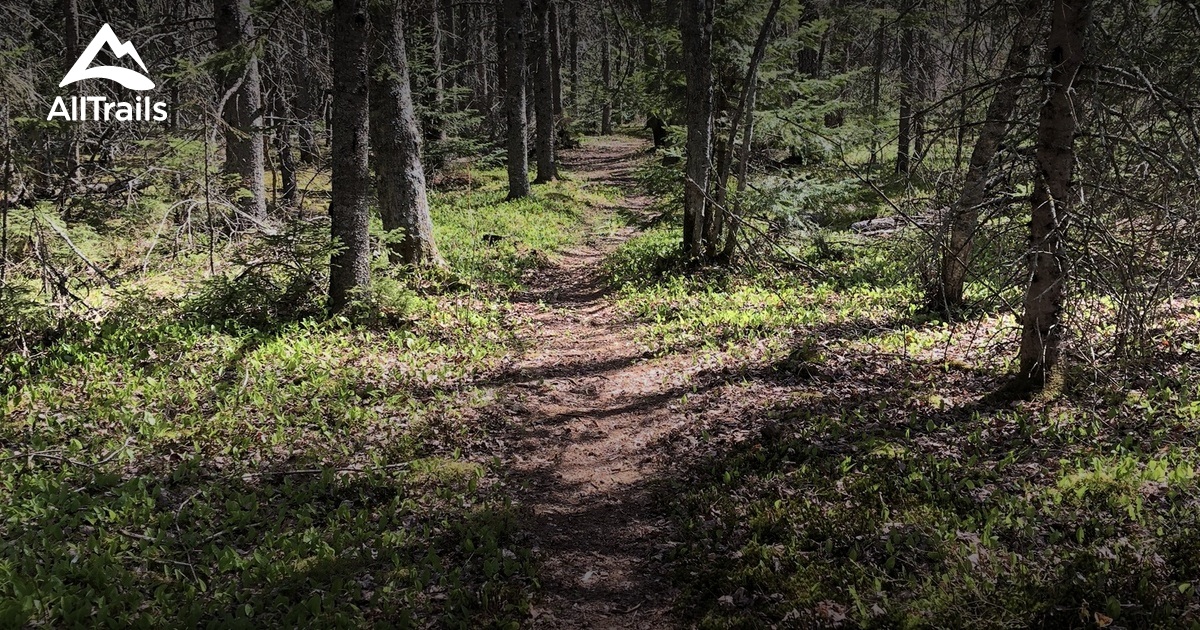 Best hikes and trails in Watervale | AllTrails