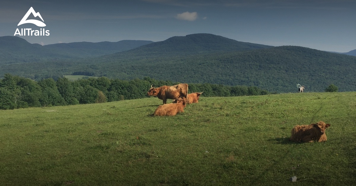 Best Trails, Walks, and Paths in Abercorn | AllTrails