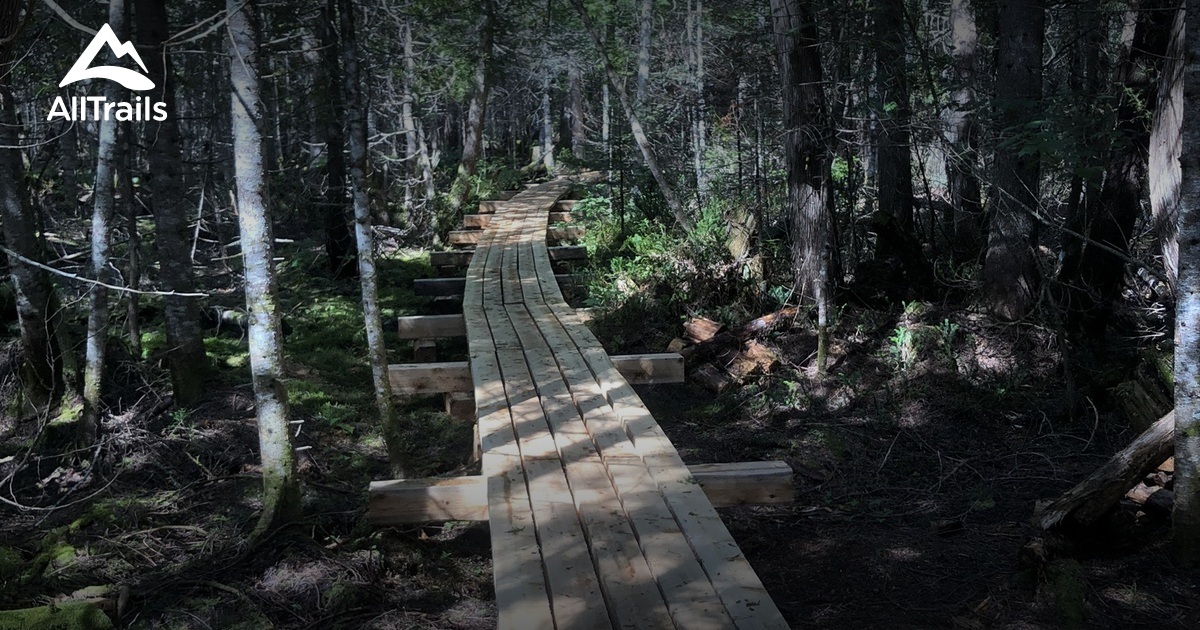 Best hikes and trails in Amqui | AllTrails