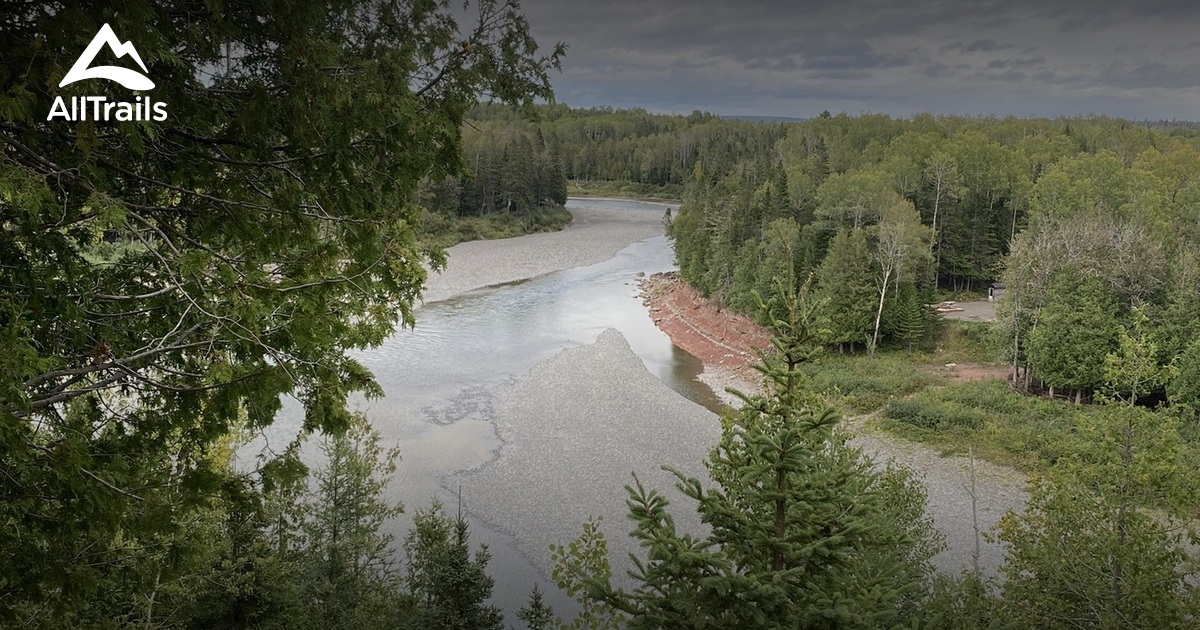 Best forest trails in Bonaventure | AllTrails