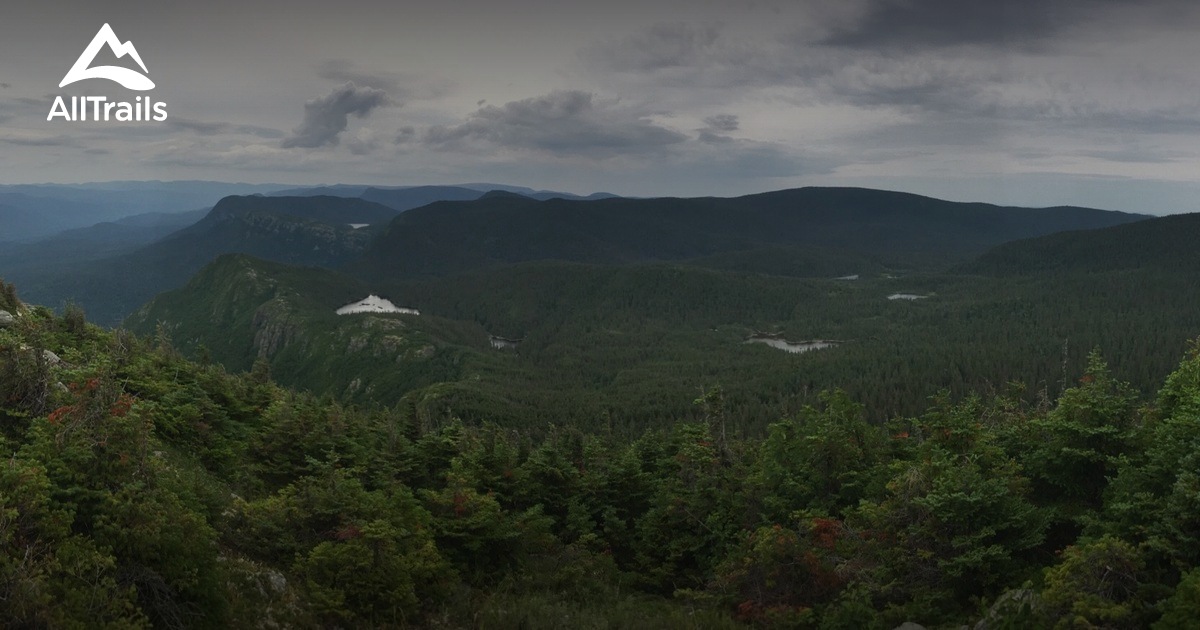 Best hikes and trails in Cap-Chat | AllTrails