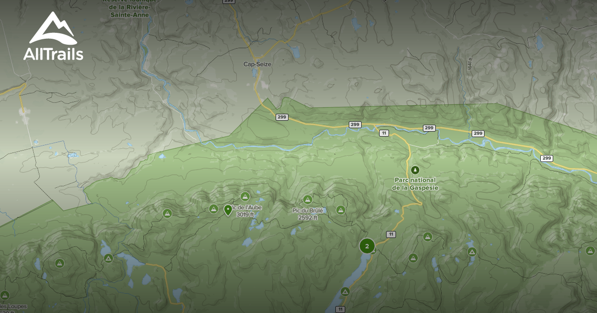 Best forest trails in Cap-Seize | AllTrails