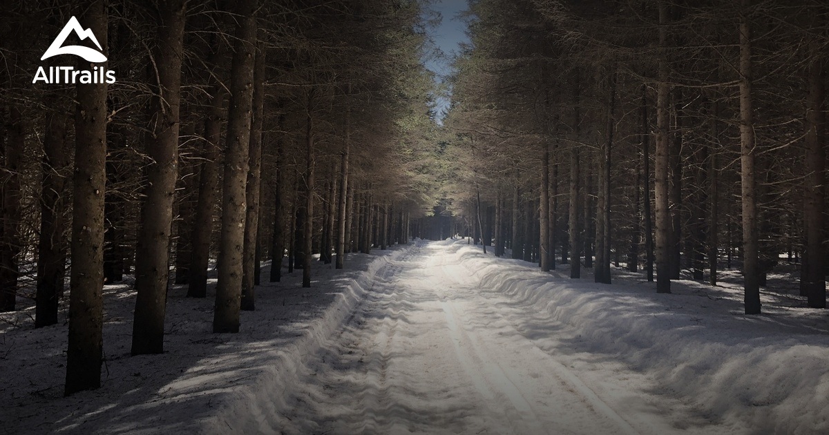 Best hikes and trails in Carleton | AllTrails