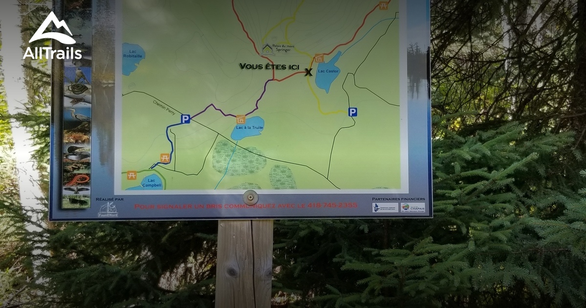 Best hikes and trails in Chapais | AllTrails