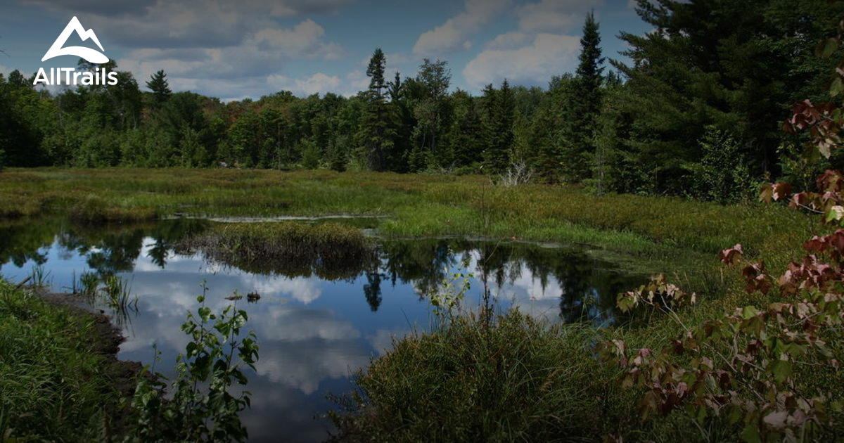 Best Trails near Chelsea - Quebec | 656 Photos & 252 Reviews | AllTrails