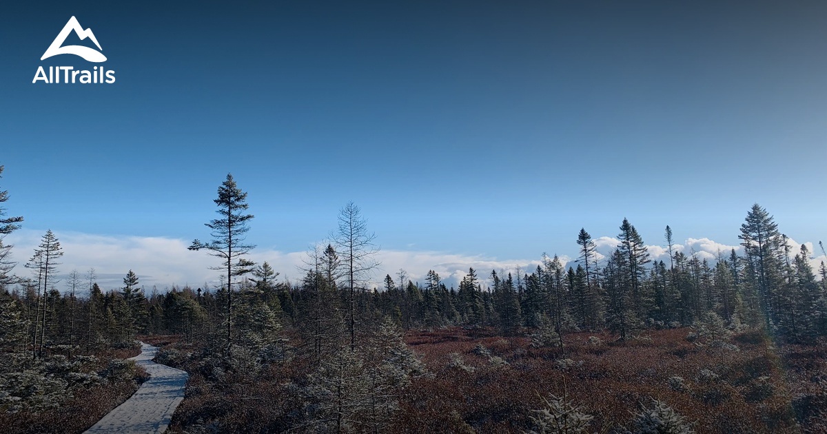 Best hikes and trails in Cookshire-Eaton | AllTrails