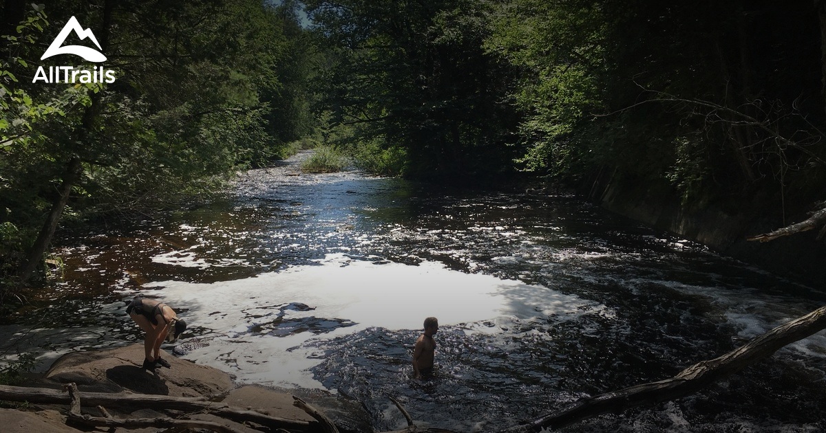 10 Best trails and hikes in Duhamel | AllTrails