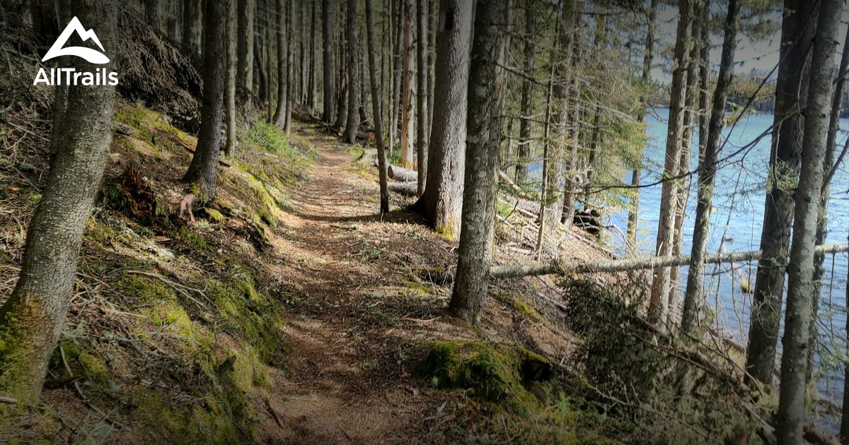 Best hikes and trails in Forestville | AllTrails