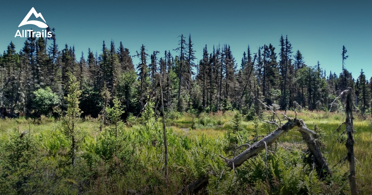 Best hikes and trails in Godbout | AllTrails