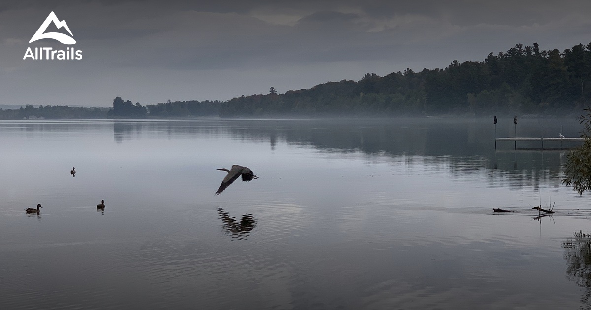 Best forest trails in Lac-Brome | AllTrails