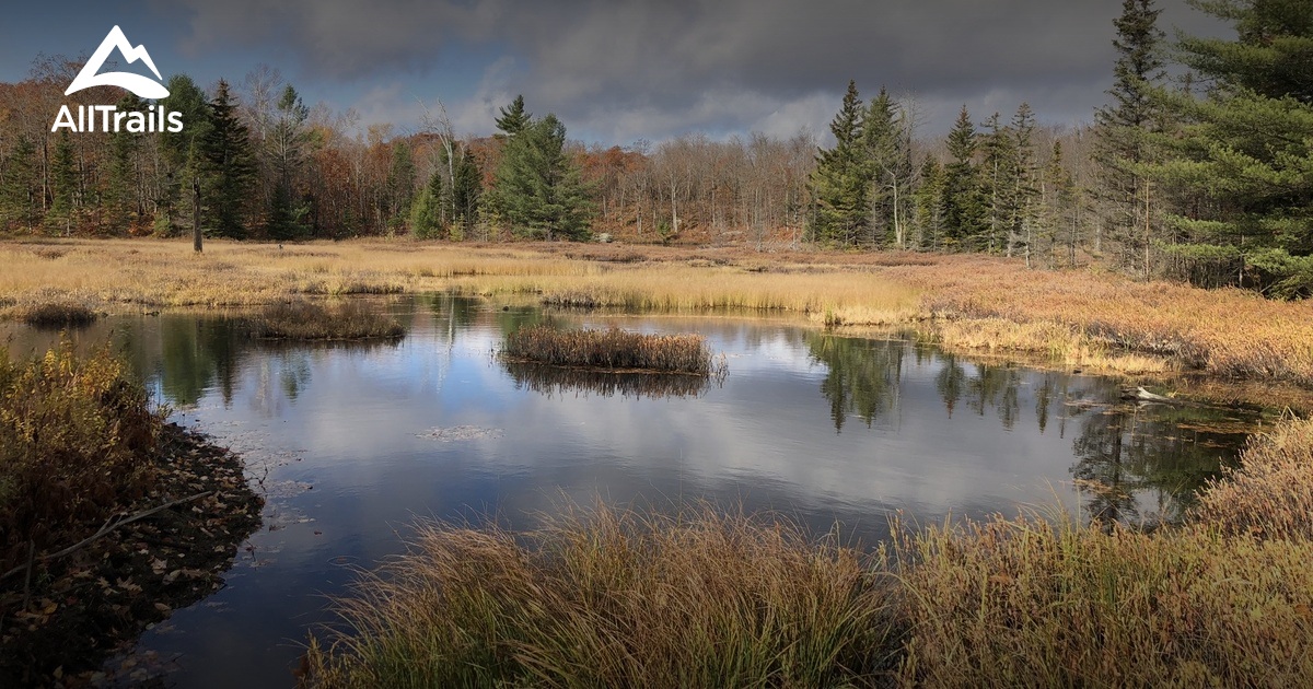 Luskville : les 10 meilleures randonnées et itinéraires | AllTrails
