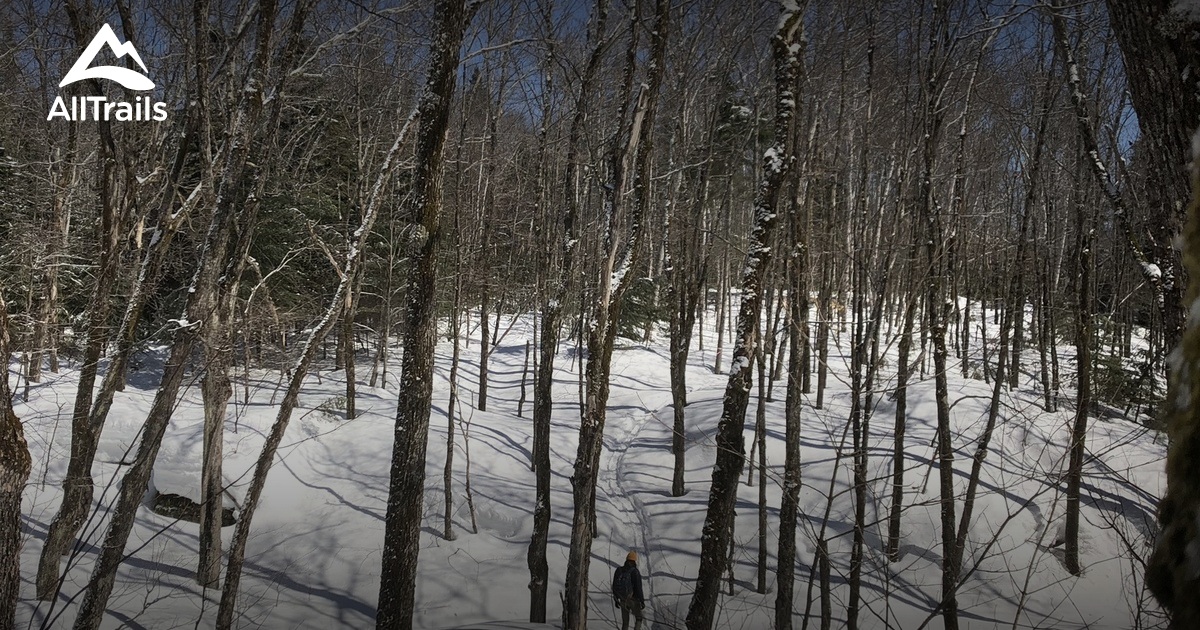 Best river trails in Mandeville | AllTrails