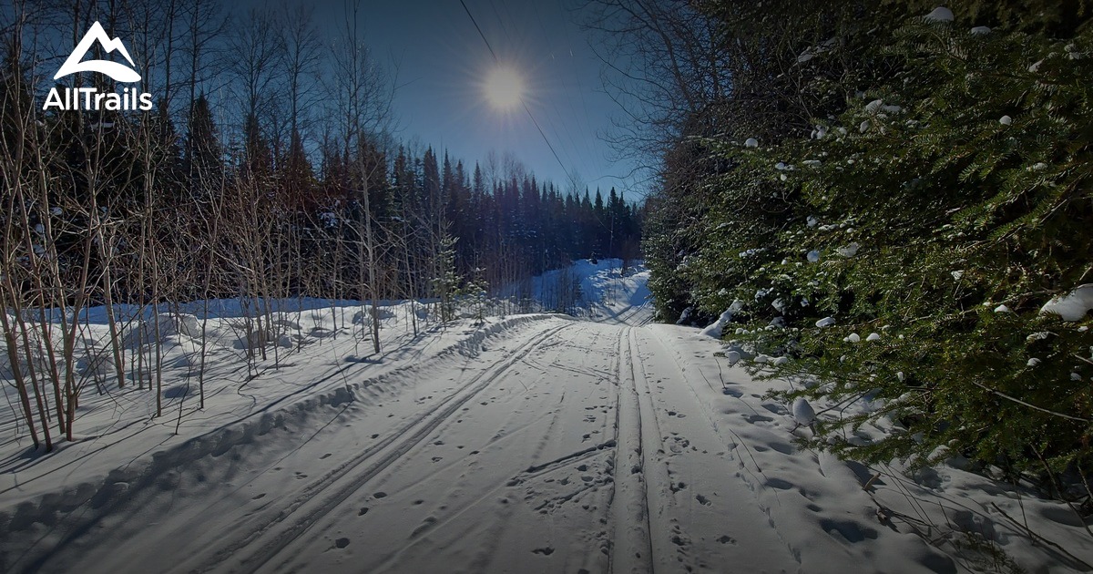 Best hikes and trails in Matagami | AllTrails