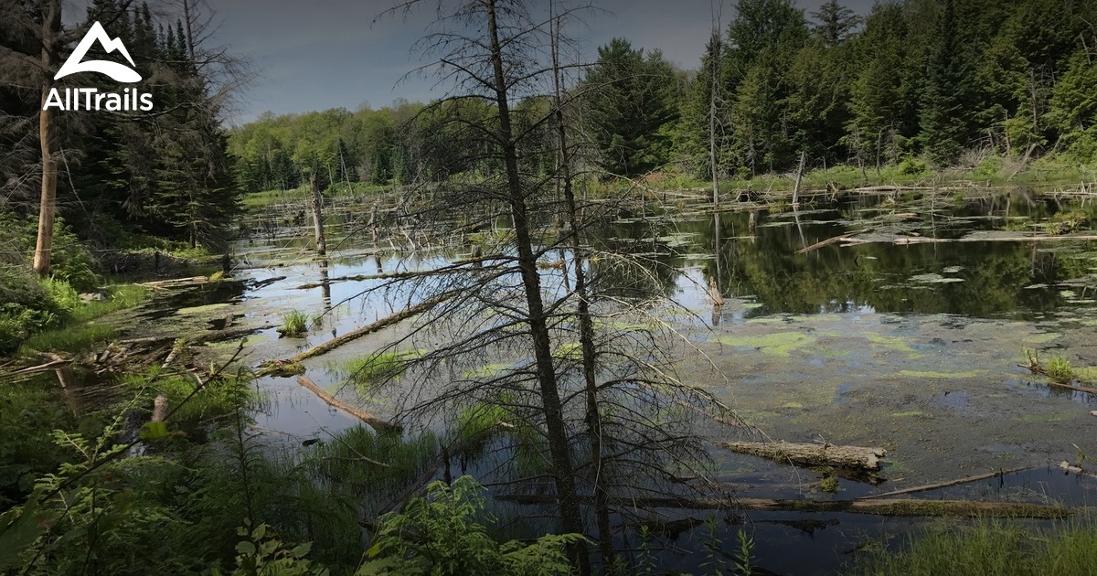 Best hikes and trails in Mayo | AllTrails