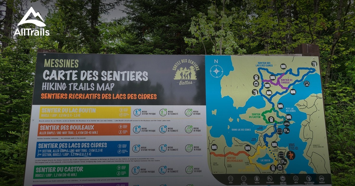 Best hikes and trails in Messines | AllTrails