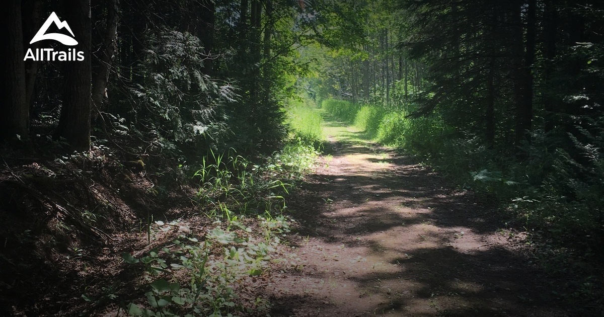 Die Besten Einfachen Routen in Nouvelle | AllTrails