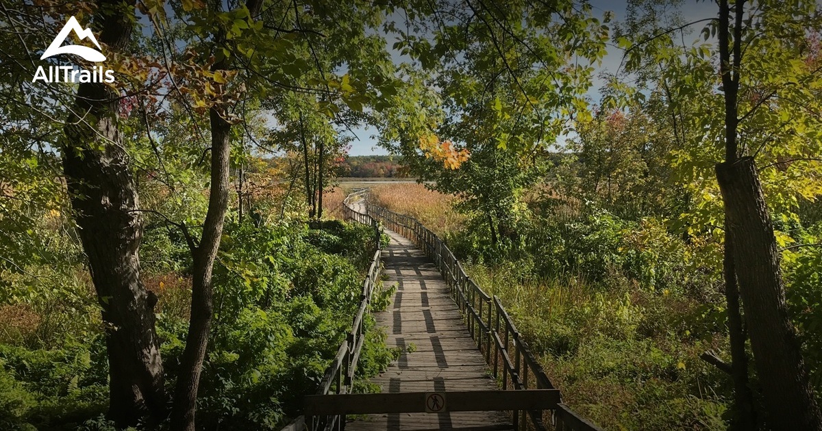 Best forest trails in Pointe-Calumet | AllTrails
