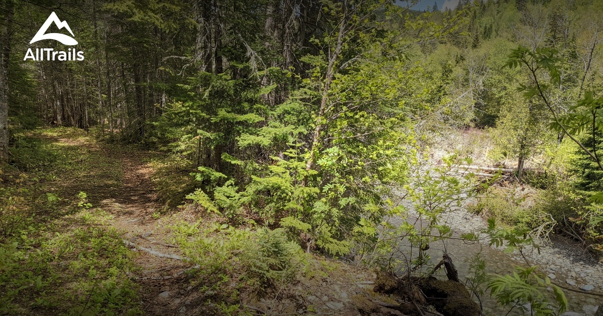 Best hikes and trails in Port-Daniel–Gascons | AllTrails