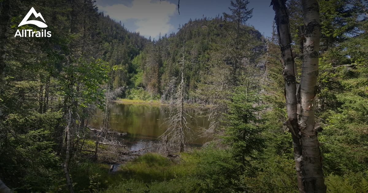 Saint-Fulgence : les meilleures randonnées et itinéraires | AllTrails