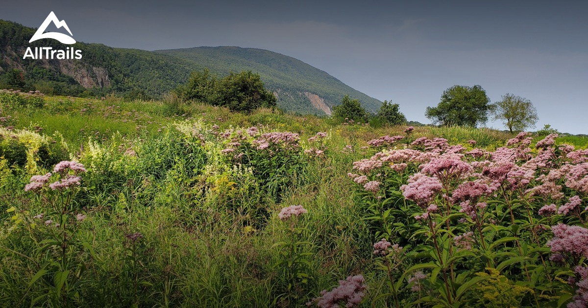Best hikes and trails in Saint-Louis-de-Gonzague-du-Cap-Tourmente ...