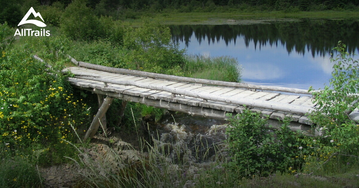 Best forest trails in Saint-Mathieu-de-Rioux | AllTrails