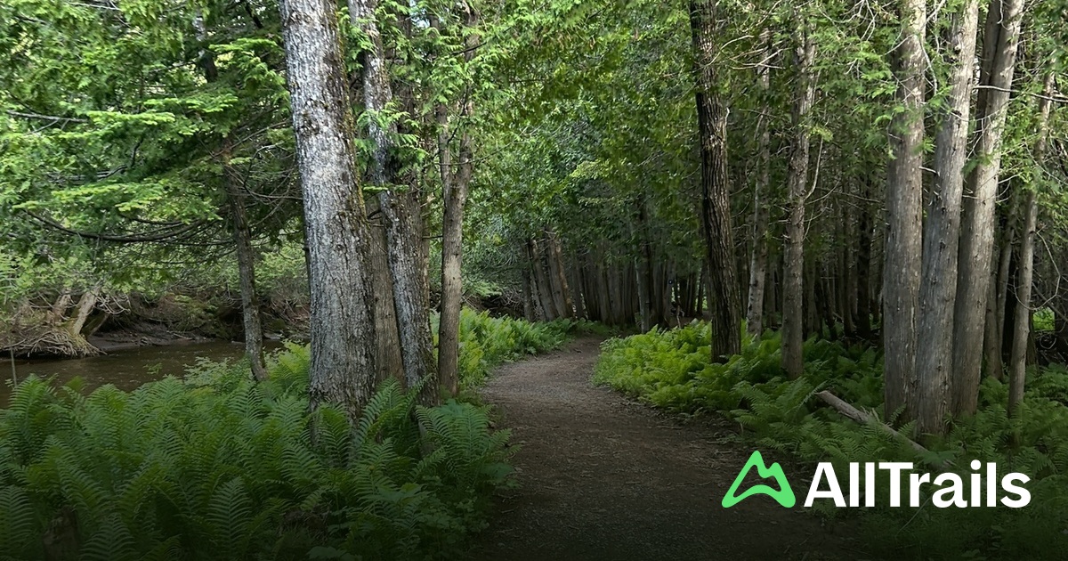 Best river trails in Saint-Simeon-de-Bonaventure | AllTrails