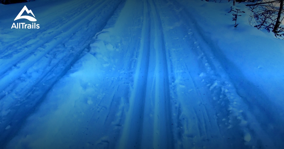 Best forest trails in Saint-Tite | AllTrails