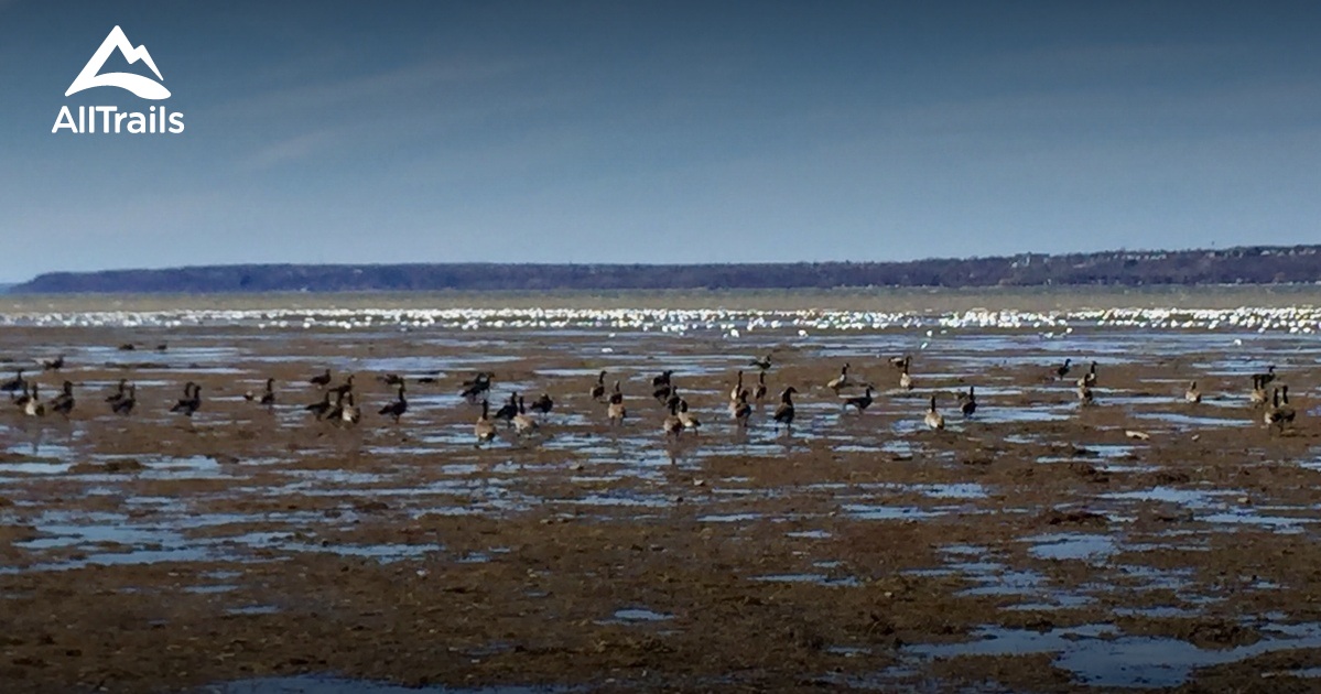 Best hikes and trails in Sainte-Croix | AllTrails