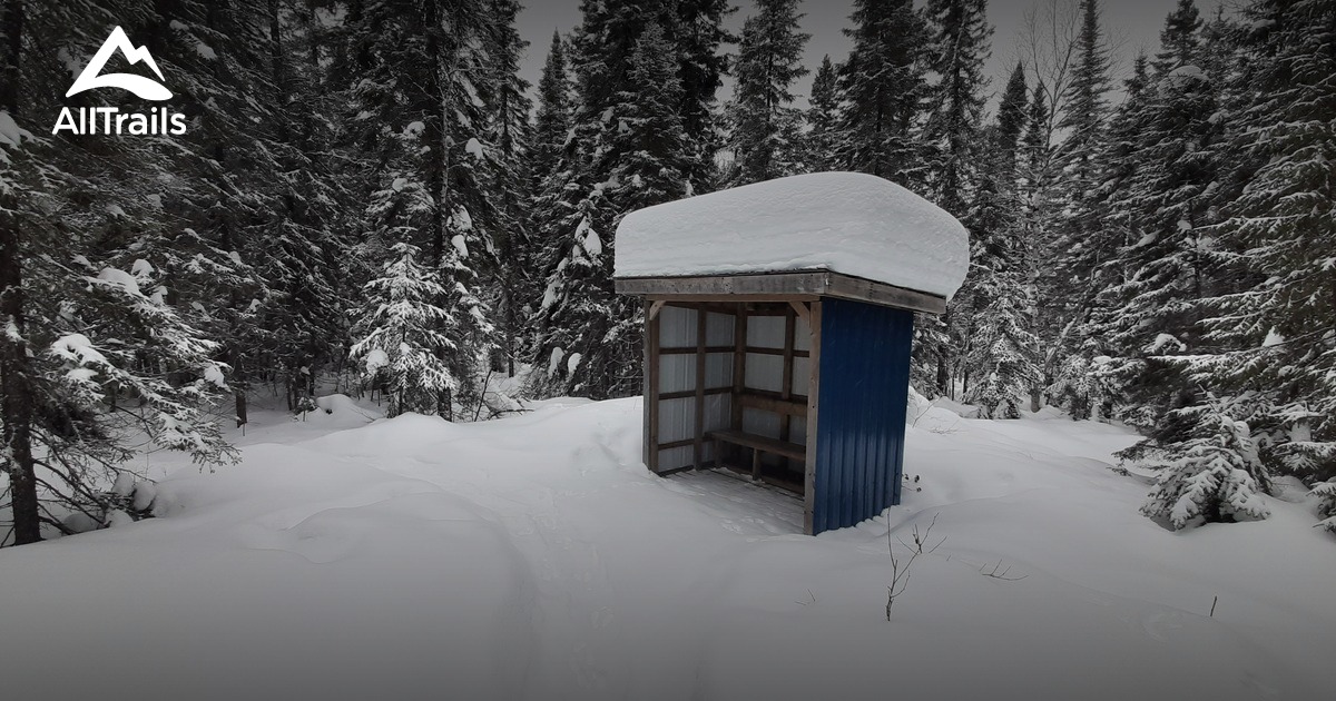 Best hikes and trails in Senneterre | AllTrails