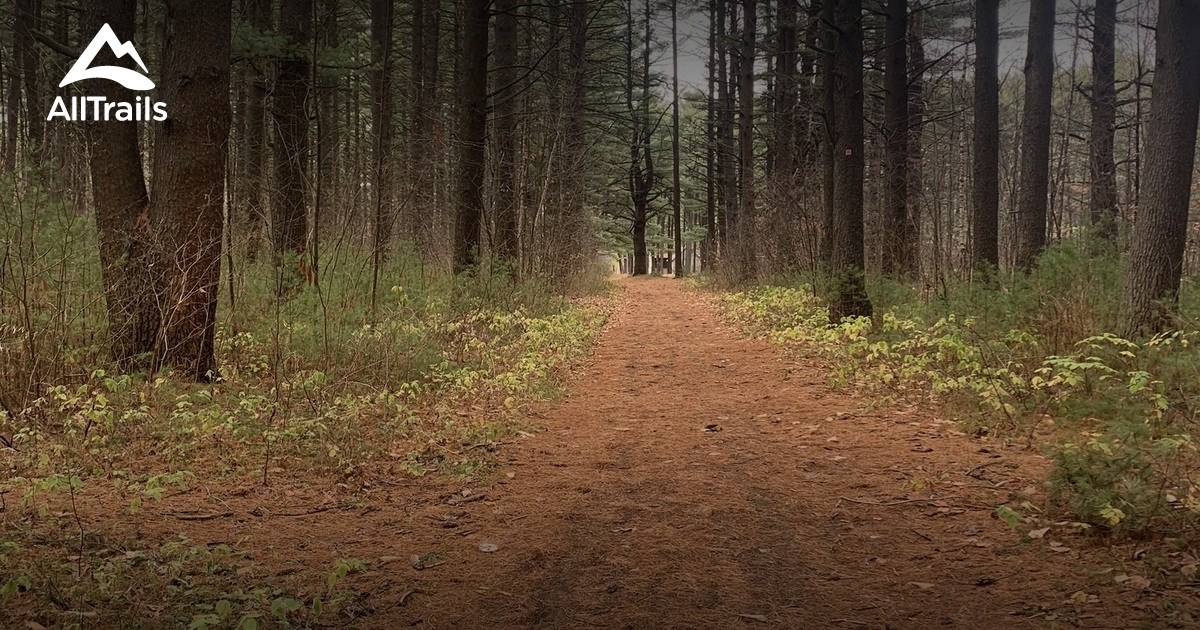 Sorel-Tracy : les meilleures randonnées et itinéraires | AllTrails