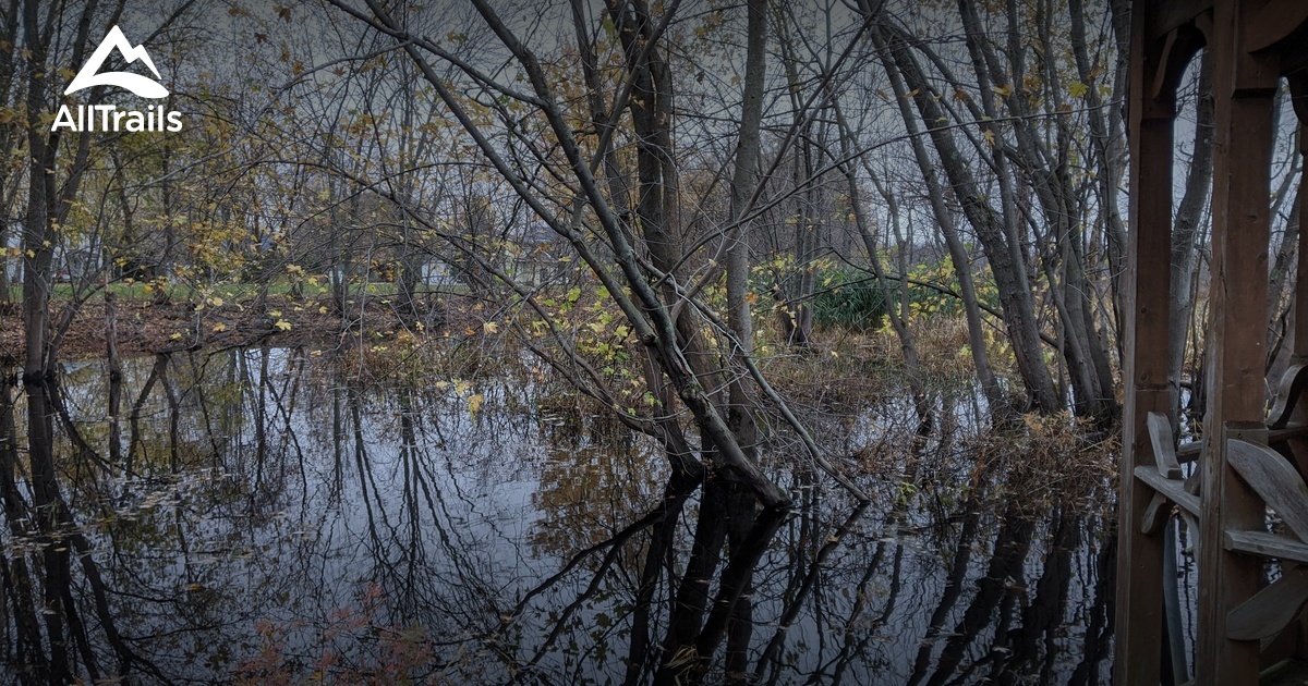 I sentieri più belli per bird watching in Venise-En-Quebec | AllTrails